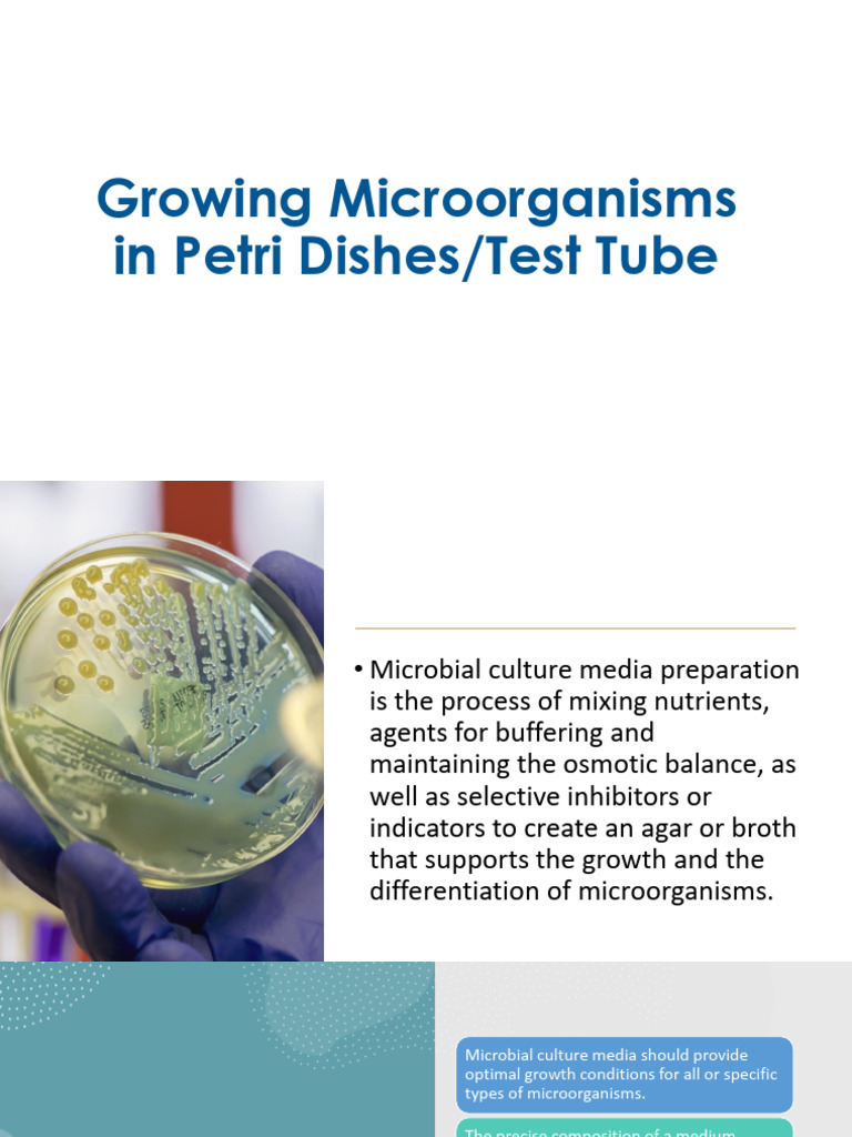 Growing Bacteria in Petri Dishes | PDF | Growth Medium | Agar