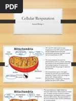 Cellular Respiration Virtual Lab Notes | PDF | Adenosine Triphosphate ...