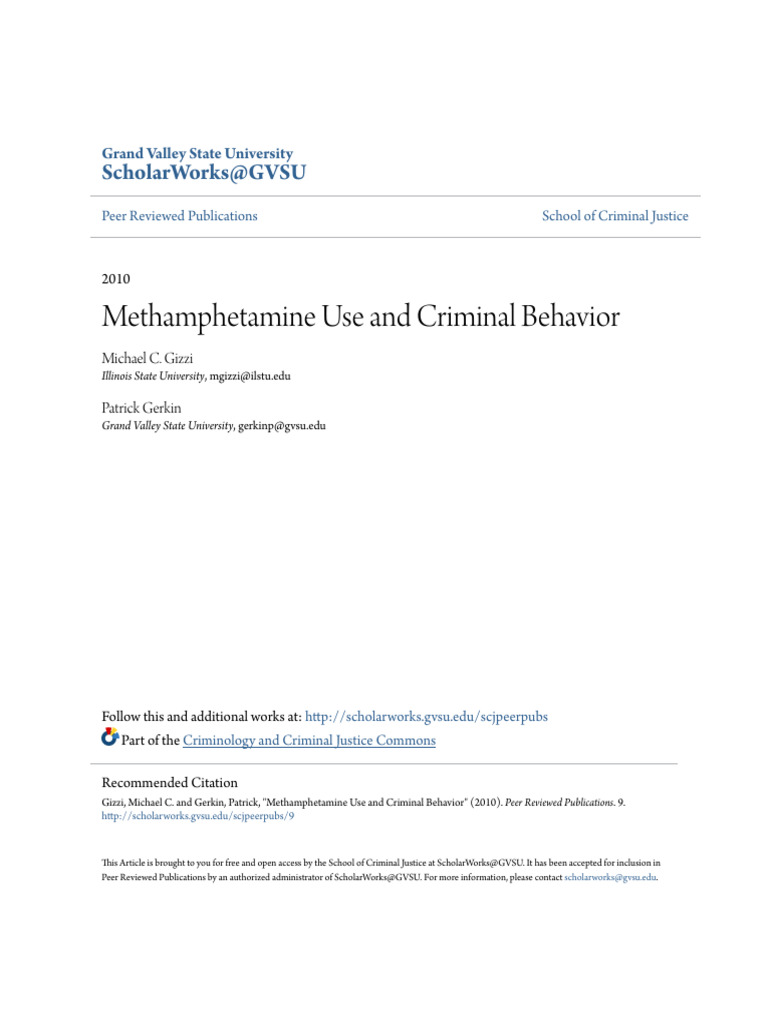 GR 1-1 Methamphetamine Use and Criminal Behavior | PDF