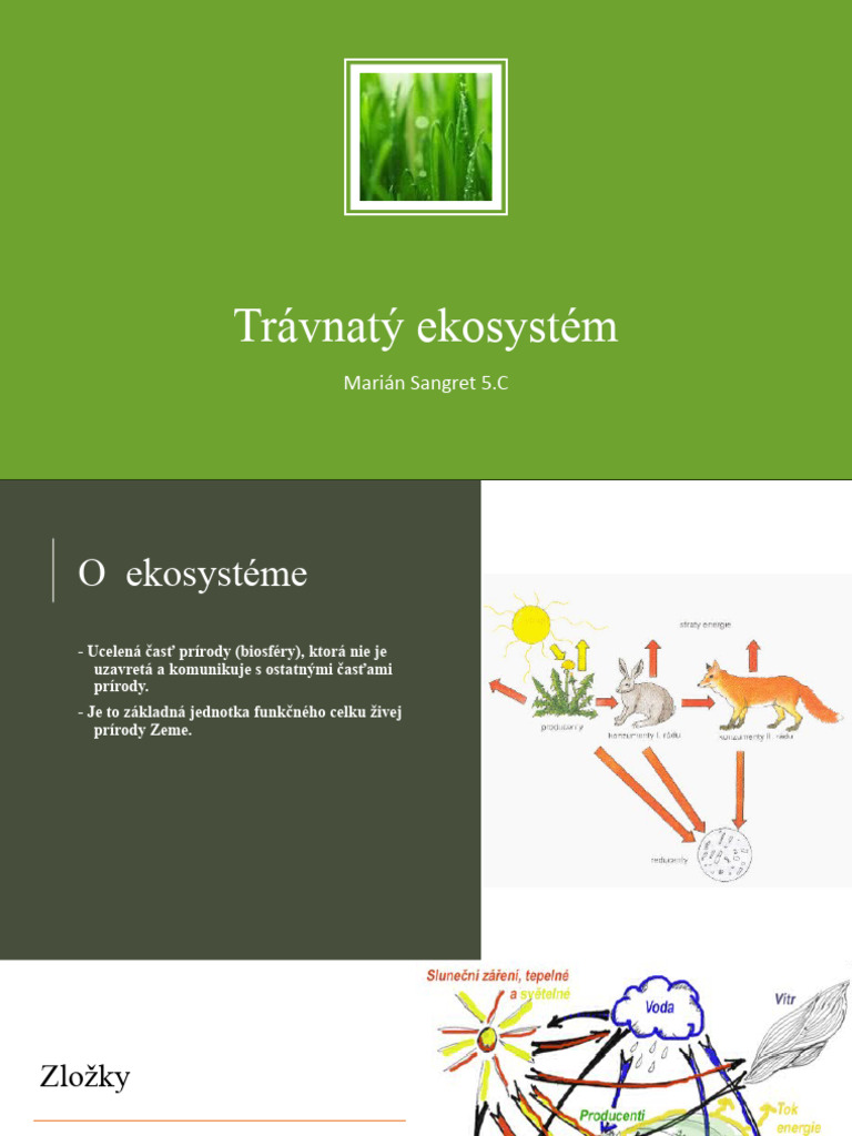 Trávnatý Ekosystém | PDF