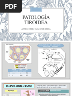 Fases Neurologicas de La Hipoglucemia | PDF