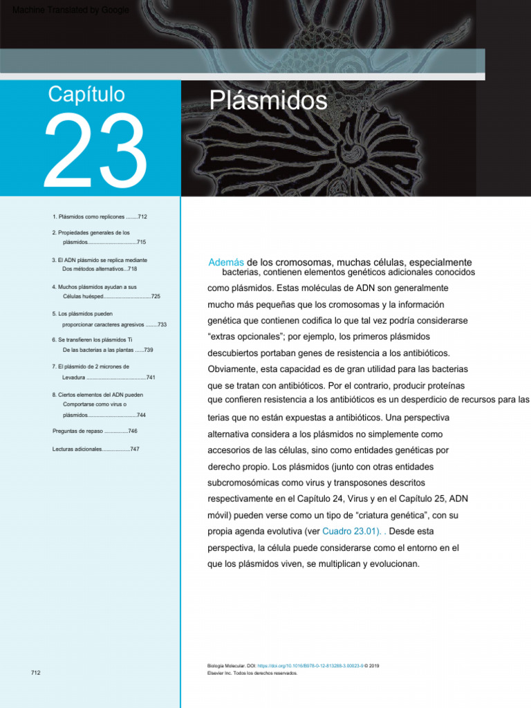Plásmidos: Capítulo | PDF | Plásmido | Replicación De Adn
