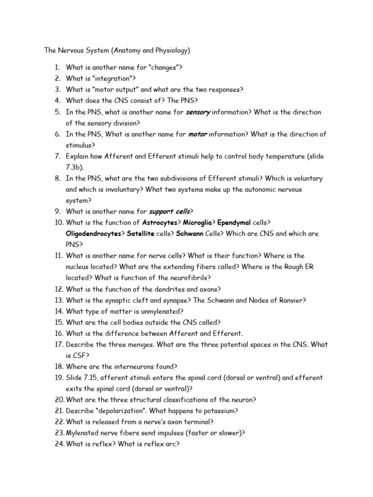 NS_PPT_Guided_notes | PDF