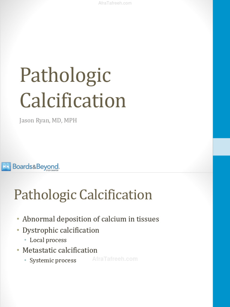 Pathologic Calcification Atf | PDF | Blood Vessel | Kidney