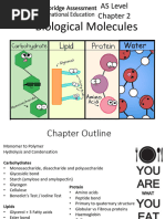 Biological Molecules: IGCSE Biology | PDF | Nucleic Acids | Glucose
