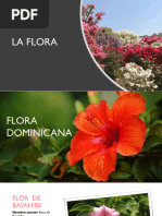 Plantas Endémicas de República Dominicana | PDF | Flores | República ...