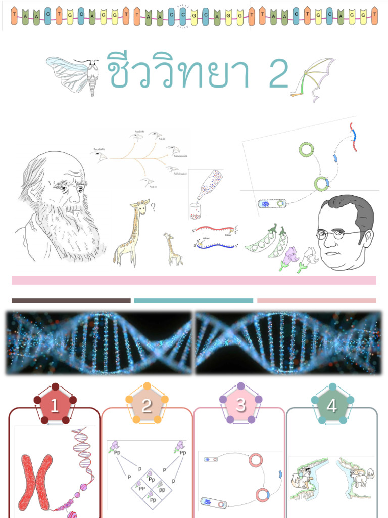 Slide Bio 2 | PDF