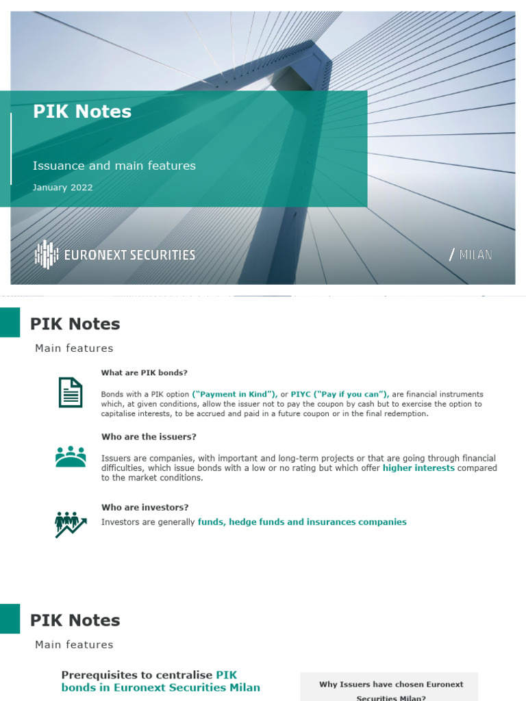 PIK Notes | PDF | Bonds (Finance) | Securities (Finance)