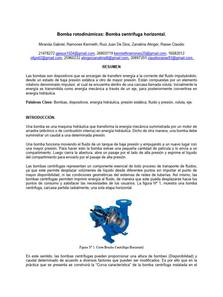 Informe Final Practica Nro 10 | PDF | Bomba | Líquidos