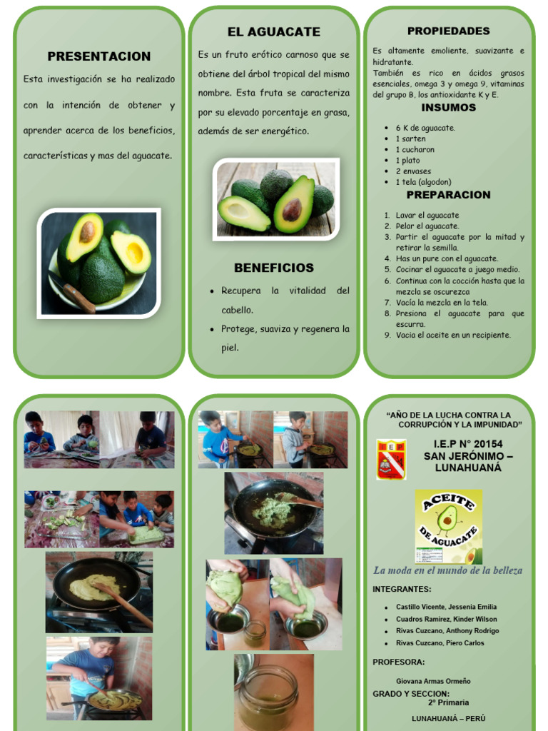 TRIPTICO PALTA | PDF | Aguacate | Alimentos