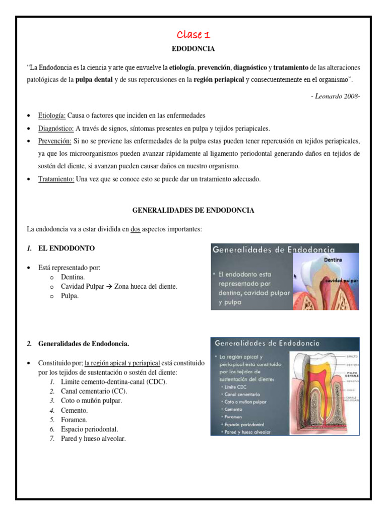 Materia Endodoncia 1 Gaby | PDF