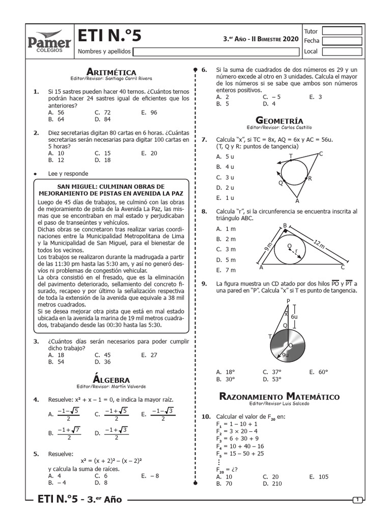 PDF - ETI N5 3 Año | PDF | Vector Euclidiano | Anemia