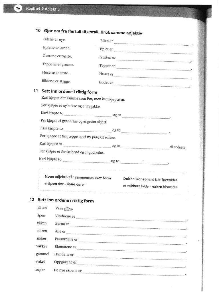 Oppgaver Adjektiv Substantiv | PDF