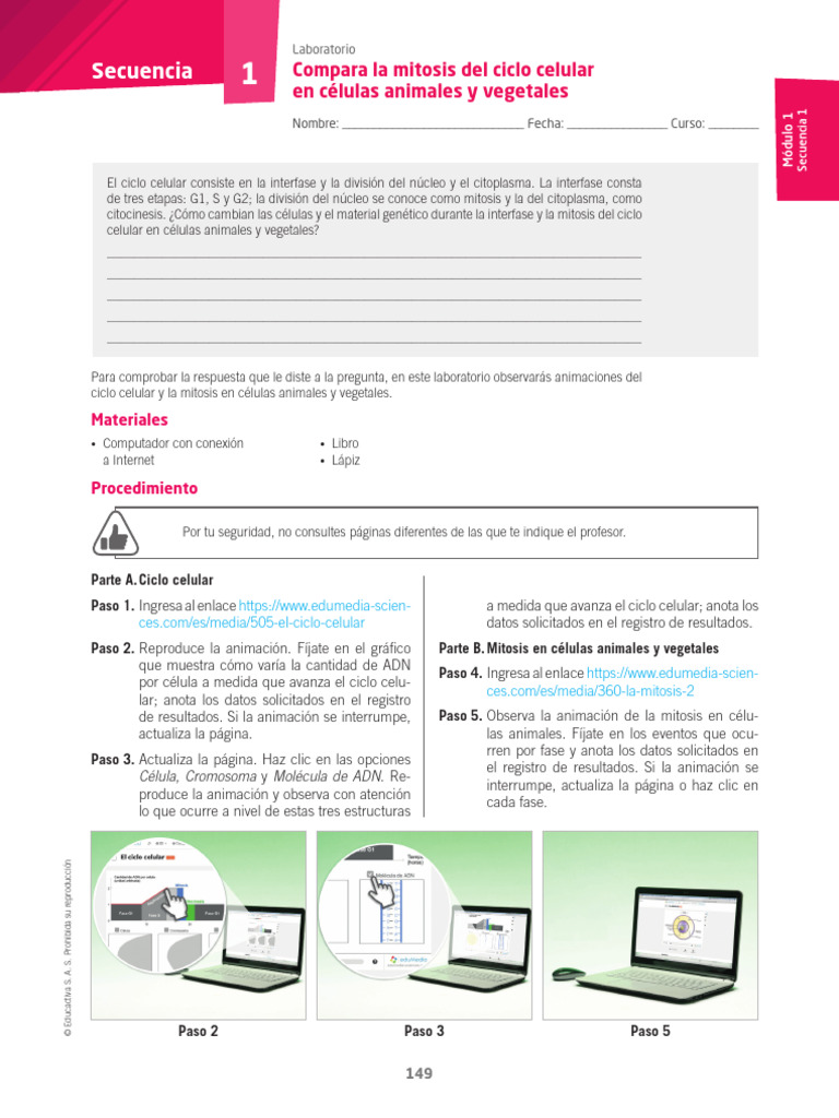 EPC08m1 S01 Lab PDF E | PDF | Mitosis | Ciclo celular