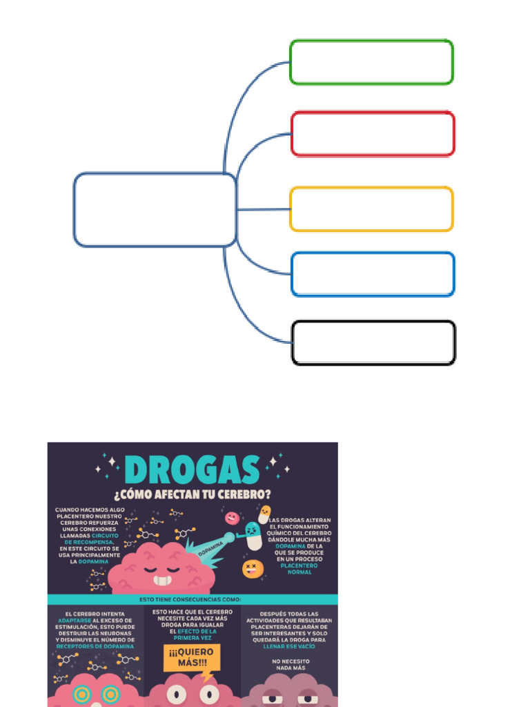 2do. Ciencias - Mapa mental y drogas | PDF