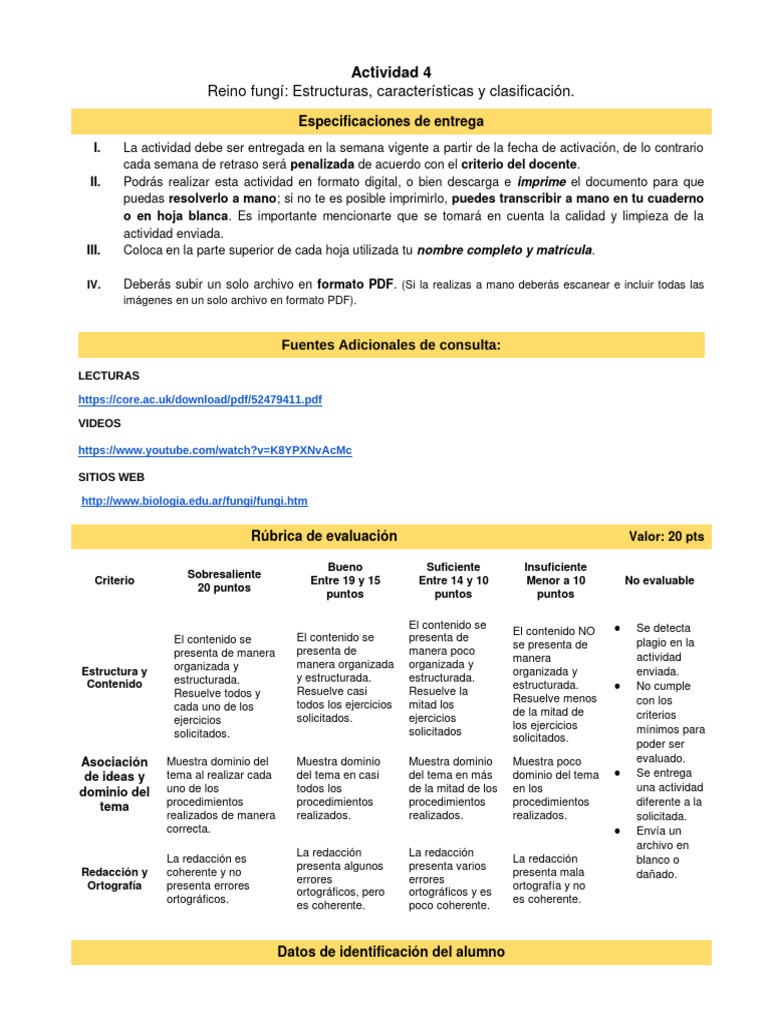P2-TSBII-Actividad 4 - Reino Fungí - Estructuras, Características y Clasificación | PDF | Hongo ...
