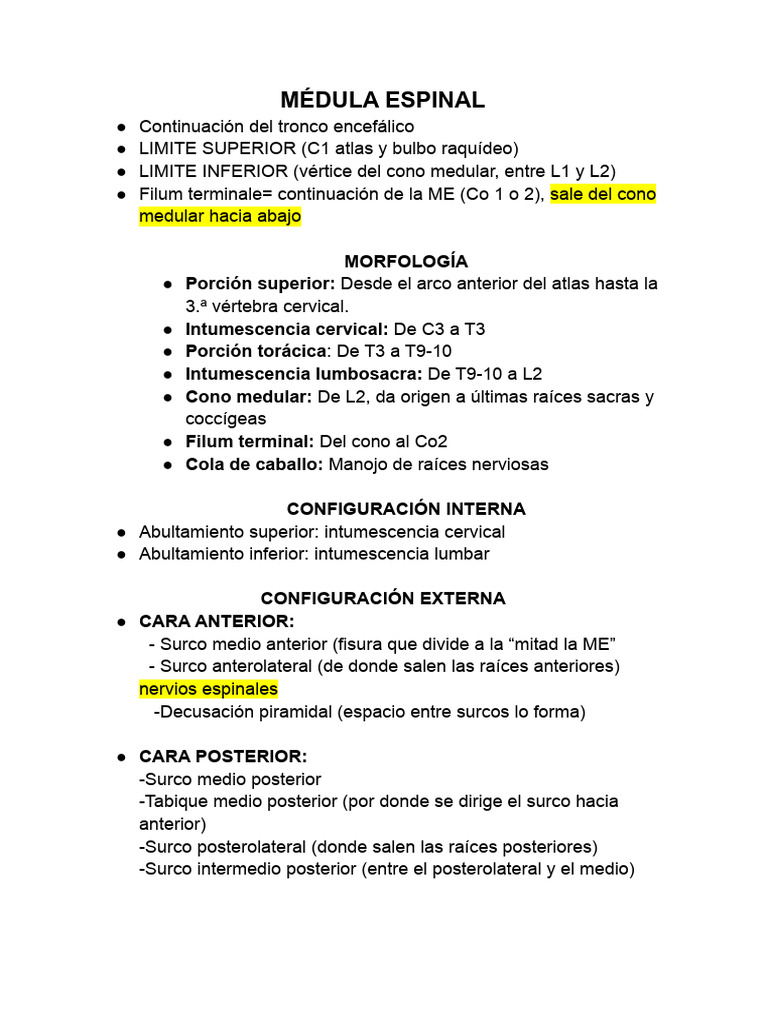 Anatomía de la Médula Espinal y Encéfalo | PDF | Médula espinal | Cerebelo