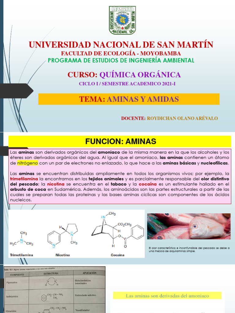 Semana 14-Aminas y Amidas | PDF