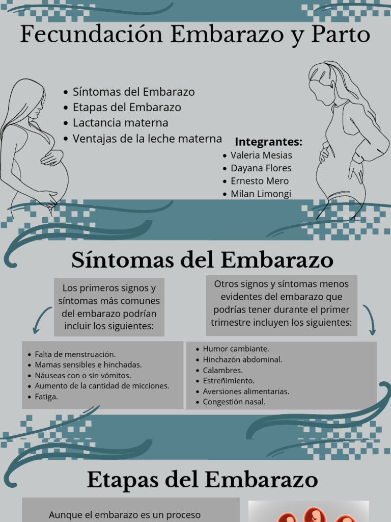 Fecundación Embarazo y Parto | PDF | El embarazo | Feto