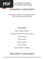 Enterobius vermicularis: Ciclo y Tratamiento | PDF | Epidemiología ...