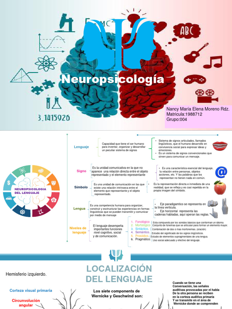 neuropsicologia del lenguaje | PDF | Comunicación | Neuropsicología