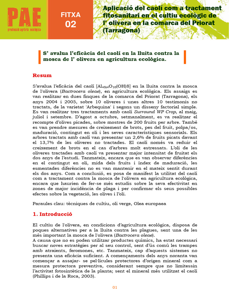 Fitxa Caoli | PDF