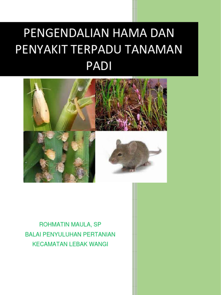 Booklet HPT | PDF