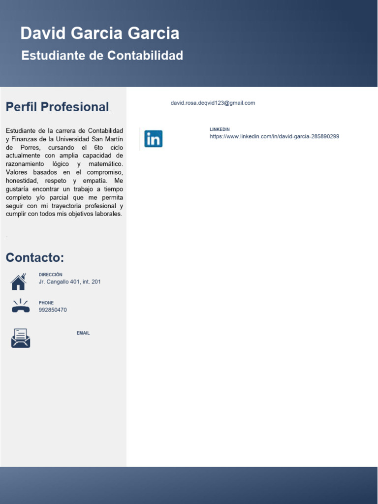 CV David Garcia 2 | PDF