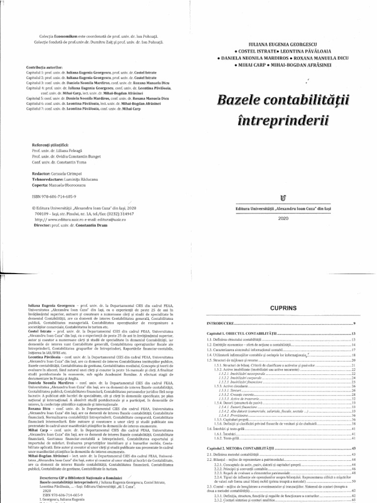 Bazele Contabilitatii Intreprinderii 2020 | PDF