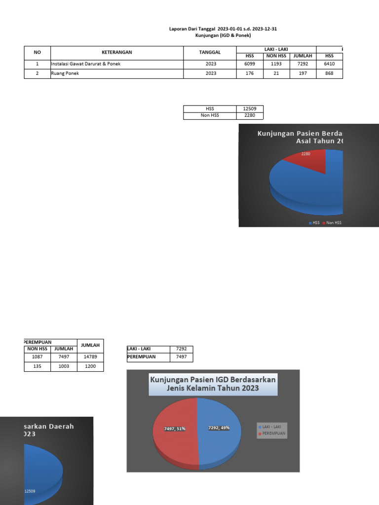 Kunjungan (IGD & Ponek) Per Tahun | PDF