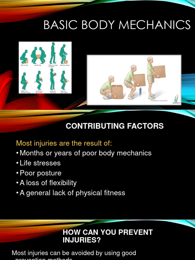 Basic Body Mechanics | PDF | Vertebral Column | Medical Specialties