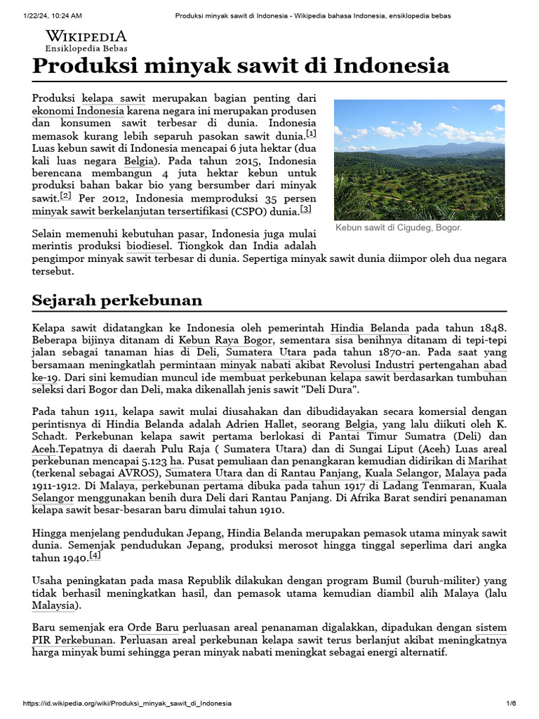 Produksi Minyak Sawit Di Indonesia | PDF | Bisnis