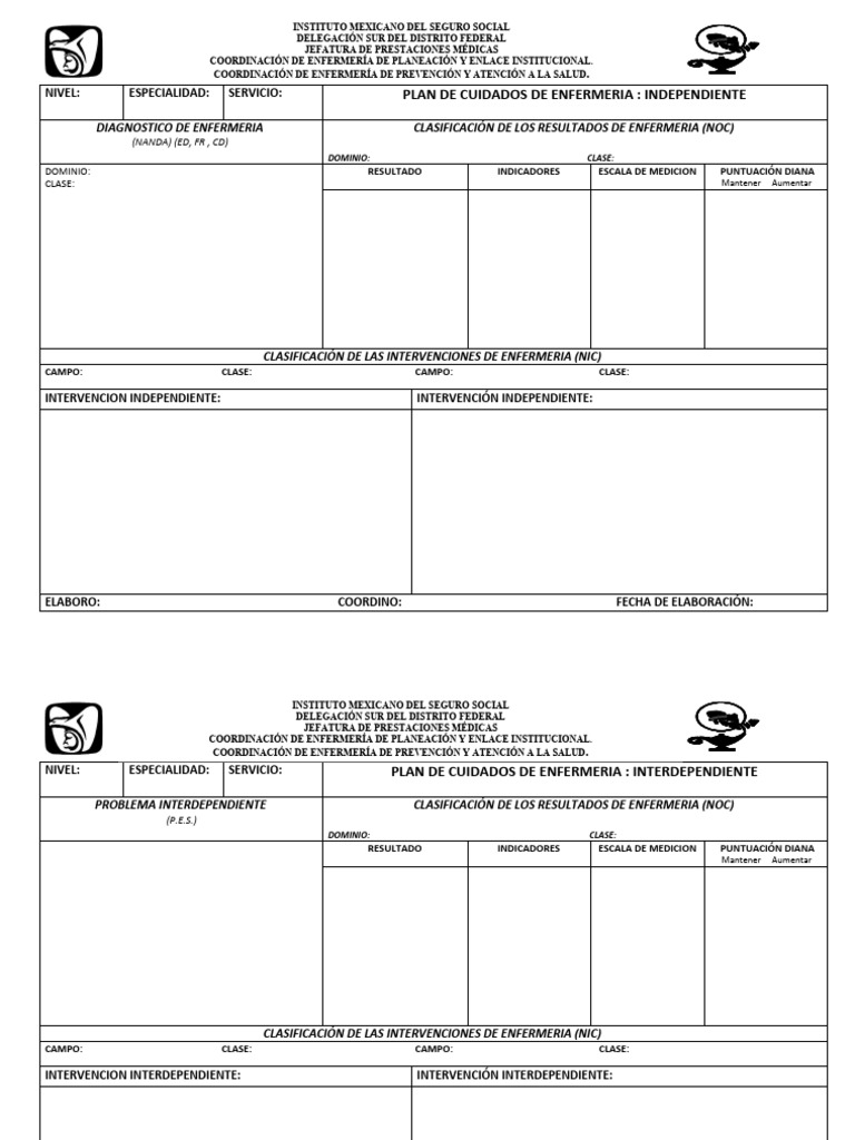 Formatos Place IMSS | PDF