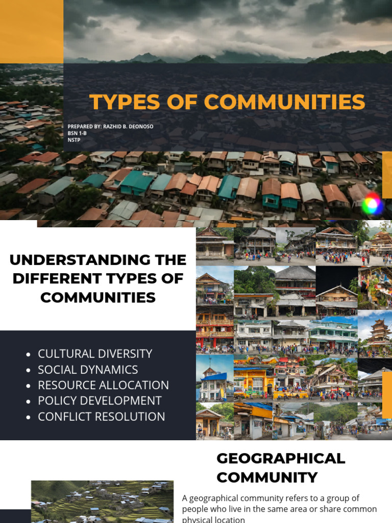 Types of Community NSTP | PDF