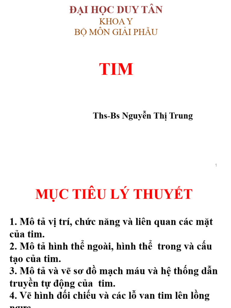 GP Tim | PDF