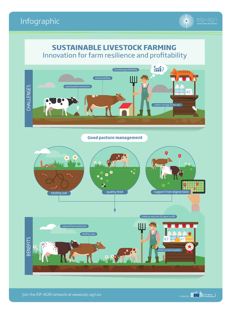 Eip-Agri Infographic Sustainable Livestock 2019 en | PDF