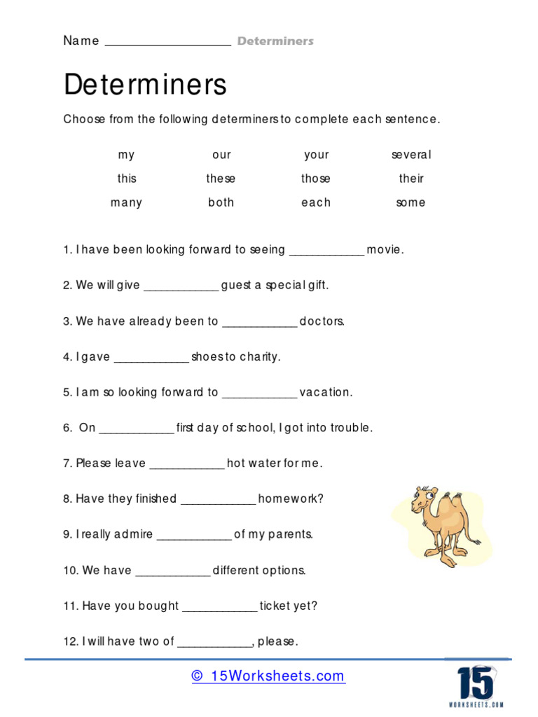 Primary 1 English Grammar Determiners 1 | PDF