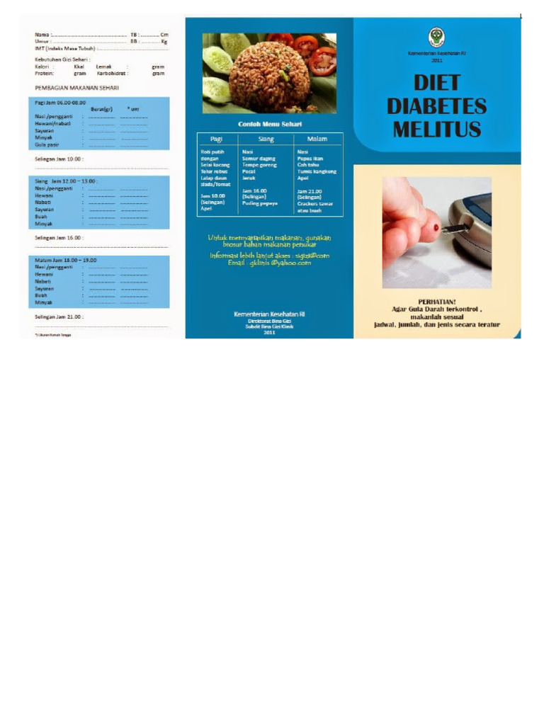 Leaflet DM Tipe II 2019 | PDF