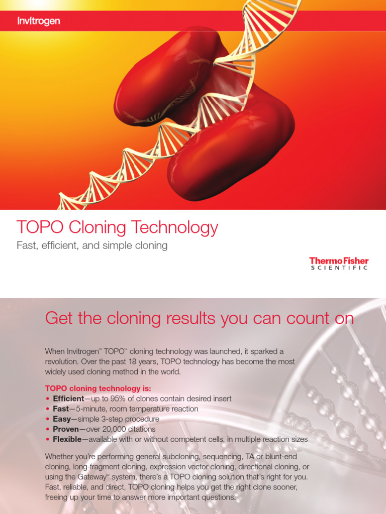 CO36609 TOPO Cloning Brochure | PDF