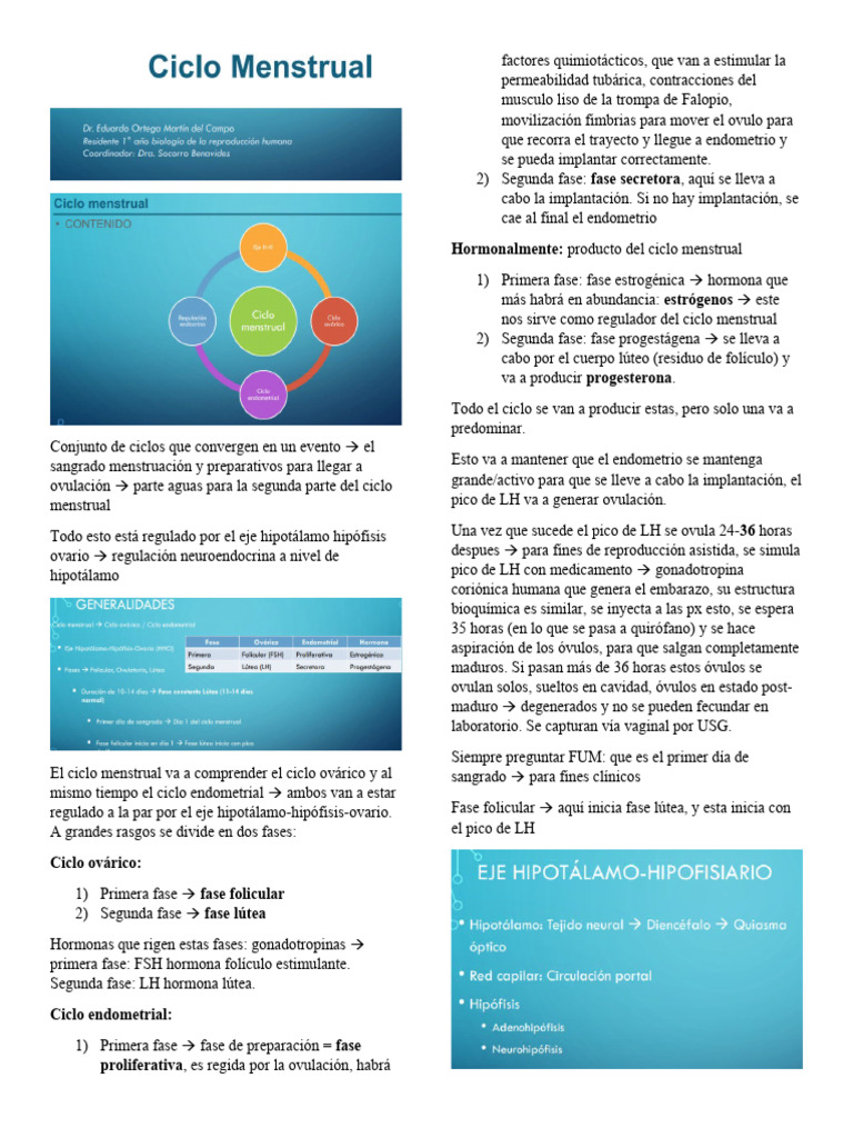 Ciclo menstrual | PDF | Ciclo menstrual | Hormona luteinizante