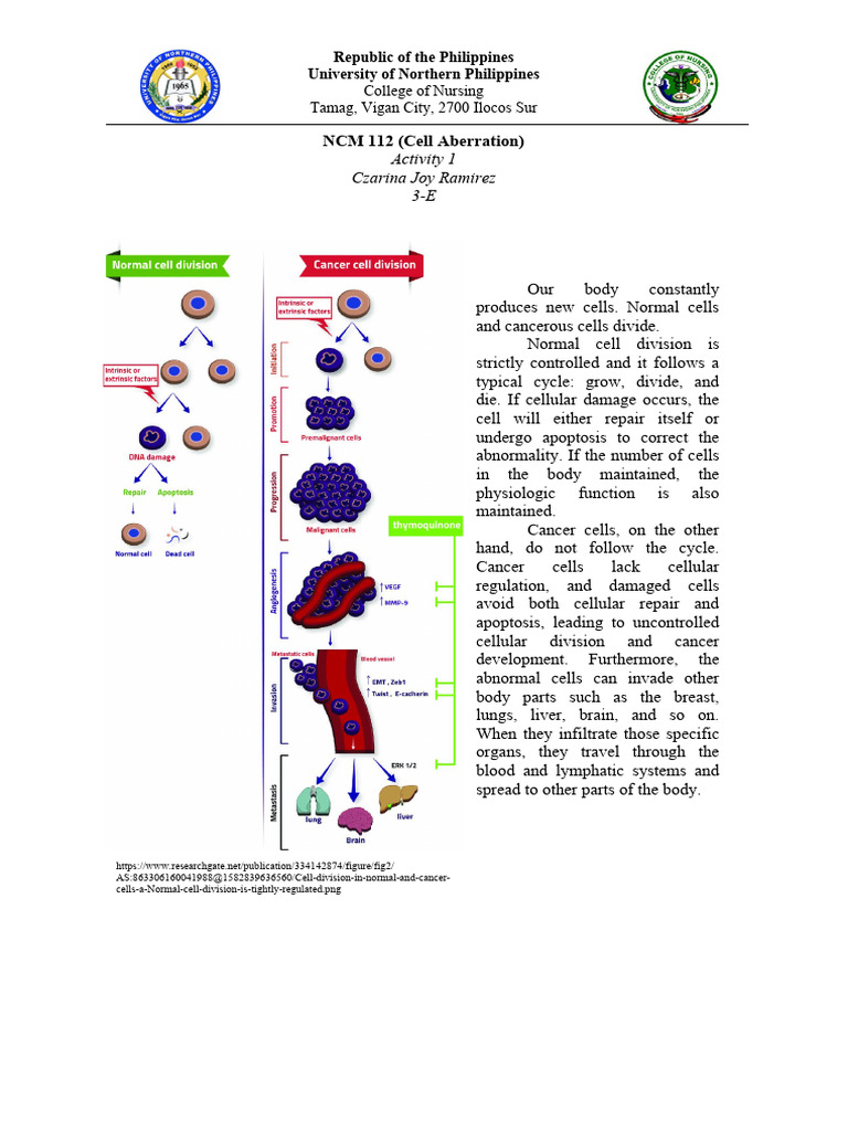 Ncm 112 Cell Ab Activity 1 Ramirez 3e Download Free Pdf Cancer