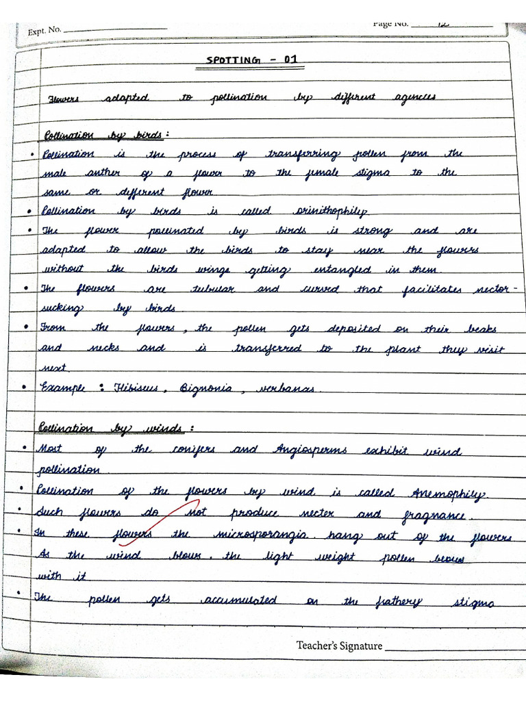 Bio Practical - Spotting | PDF