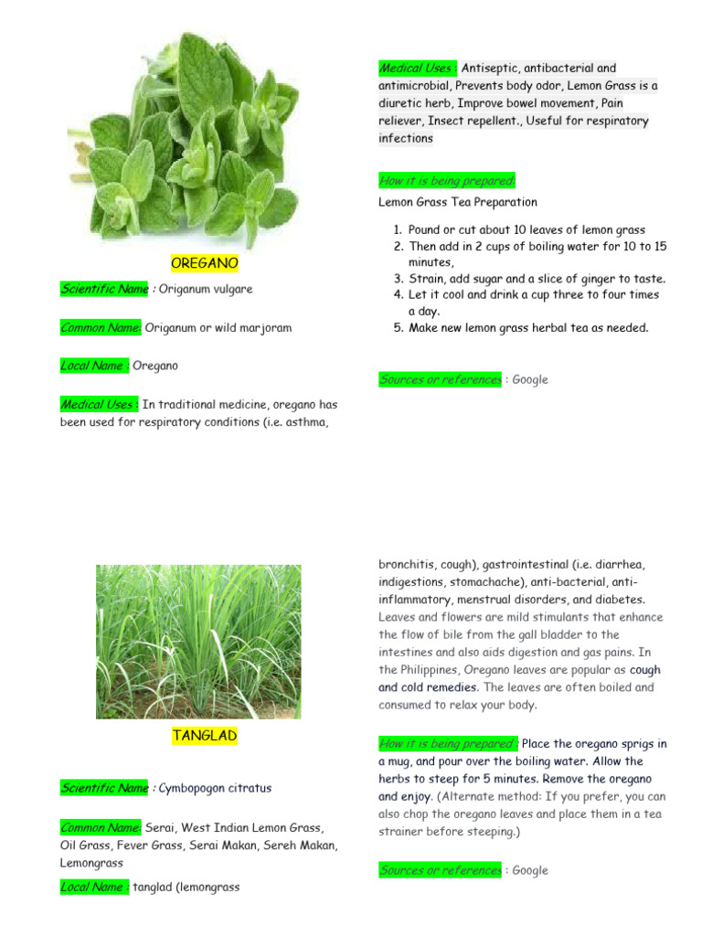 Medicinal Plant Project | PDF