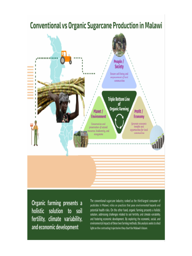Infography Group C | PDF