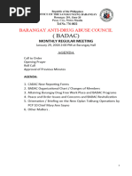 Badac Action Plan Cy 2024 | PDF