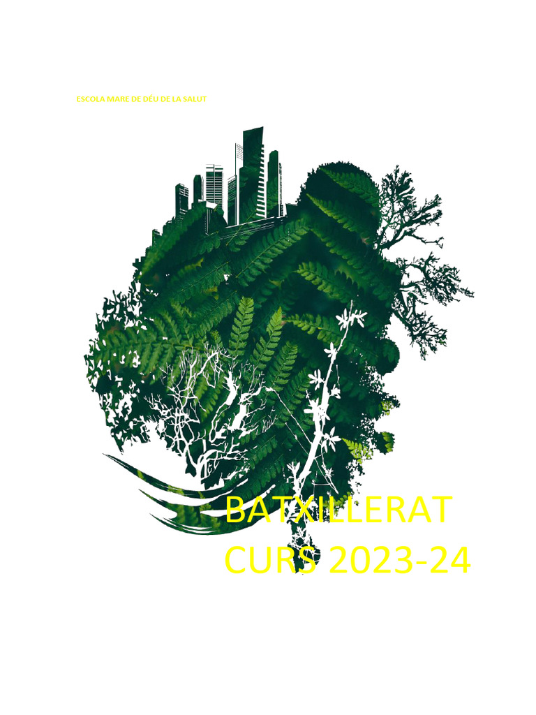 Deures Estiu 2n Batxillerat 2023 | PDF