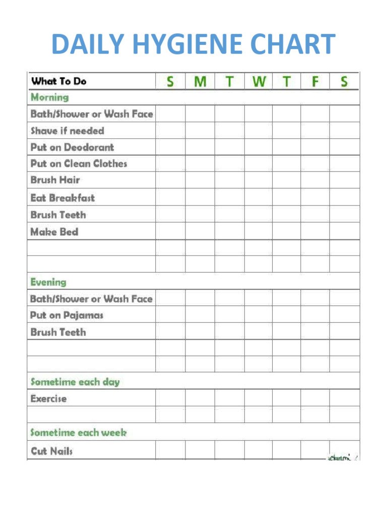 Daily Hygiene Chart | PDF | Wellness