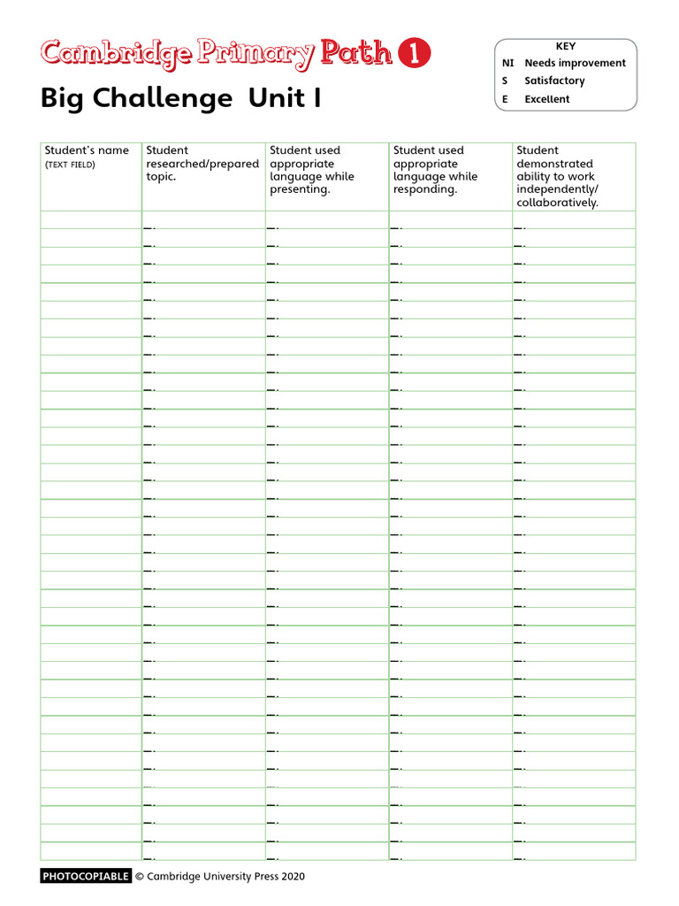 CPP L1 Big Challenge Unit1 | PDF