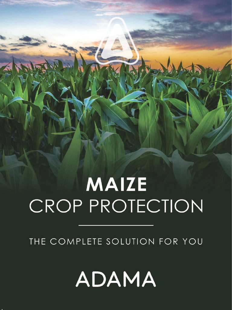 Maize Complete Solutions | PDF | Agriculture | Plants Maize Complete Solutions | PDF | Agriculture | Plants