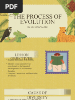 Evolution Notes for Class 12 Biology | PDF | Homo | Evolution